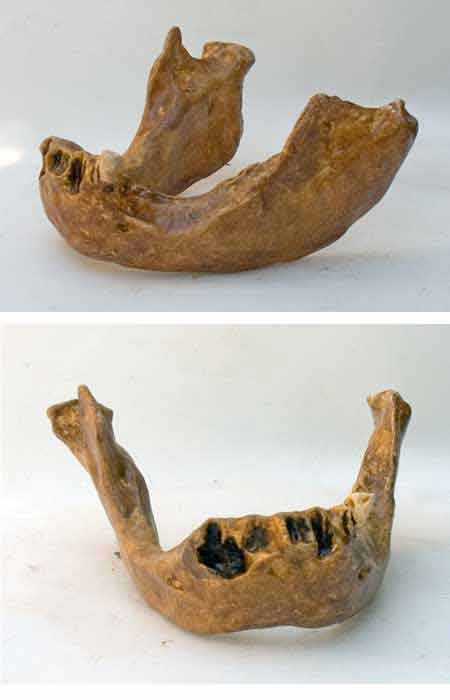 MOULAGES FOSSILES HOMINIDES